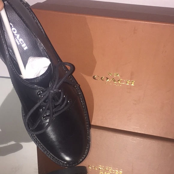 Coach | Shoes | New Coach Erica Oxfords | Poshmark